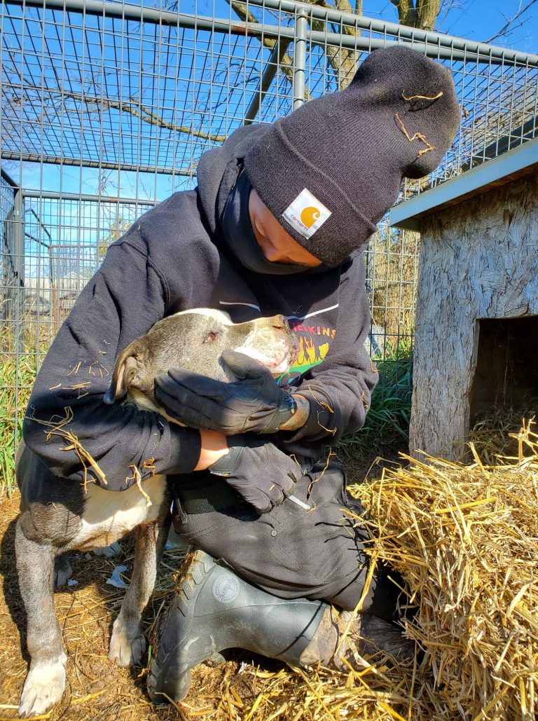 Dog Outreach – ASK